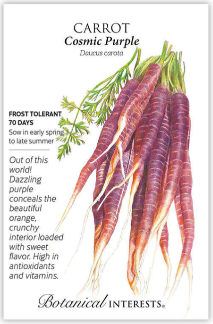 Cosmic Purple Carrot – Coldwater Seed and Supply, LLC